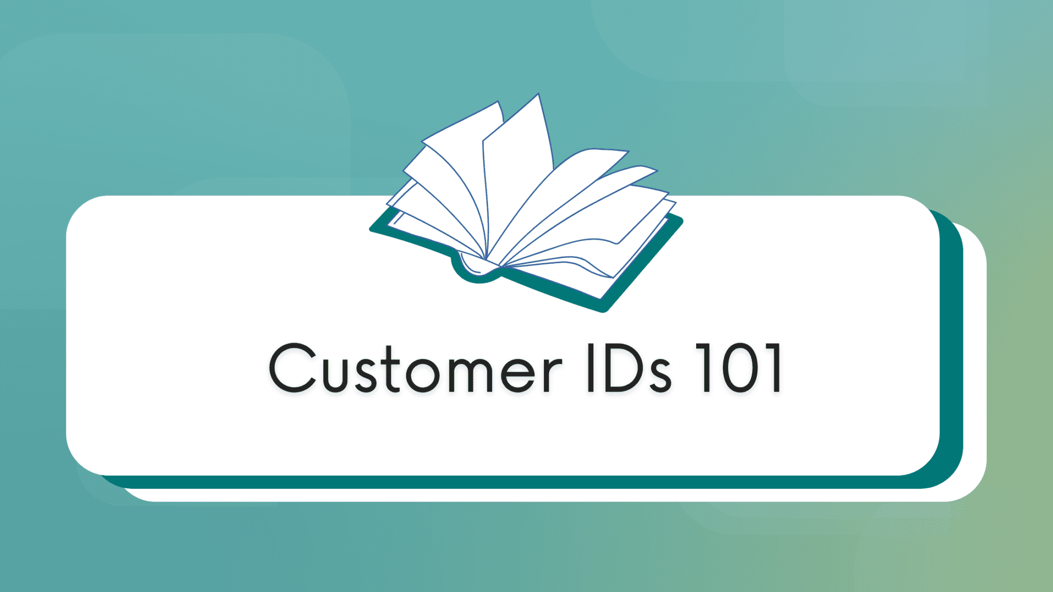 Customer IDs 101: Understanding the Power of Customer Identifiers in ...